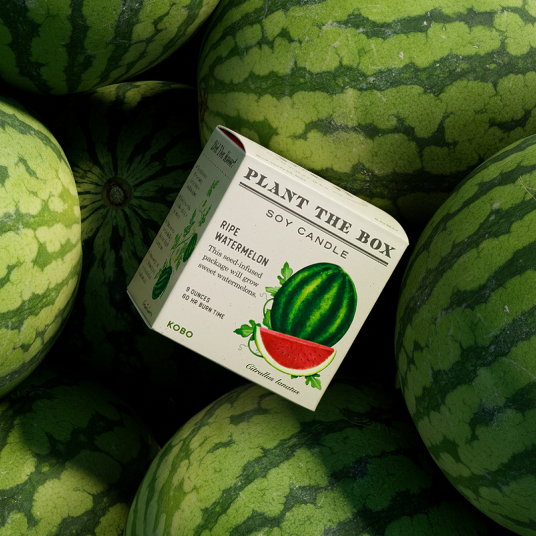 KOBO Plant the Box Ripe Watermelon Candle (9 oz) #10091244 – Smallflower