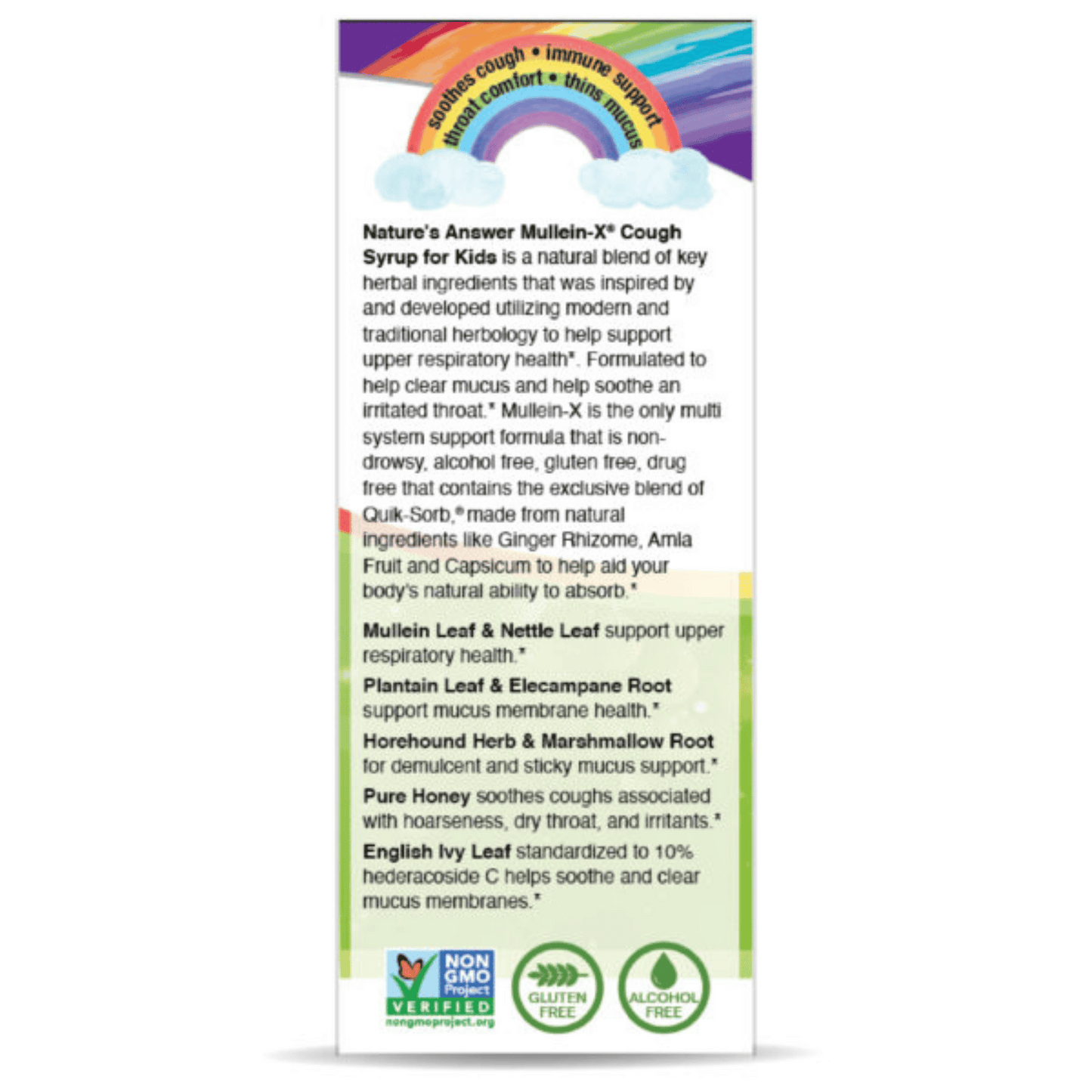 Nature's Answer Mullein-X Kids Cough Syrup (4 fl oz) #10087230 ...
