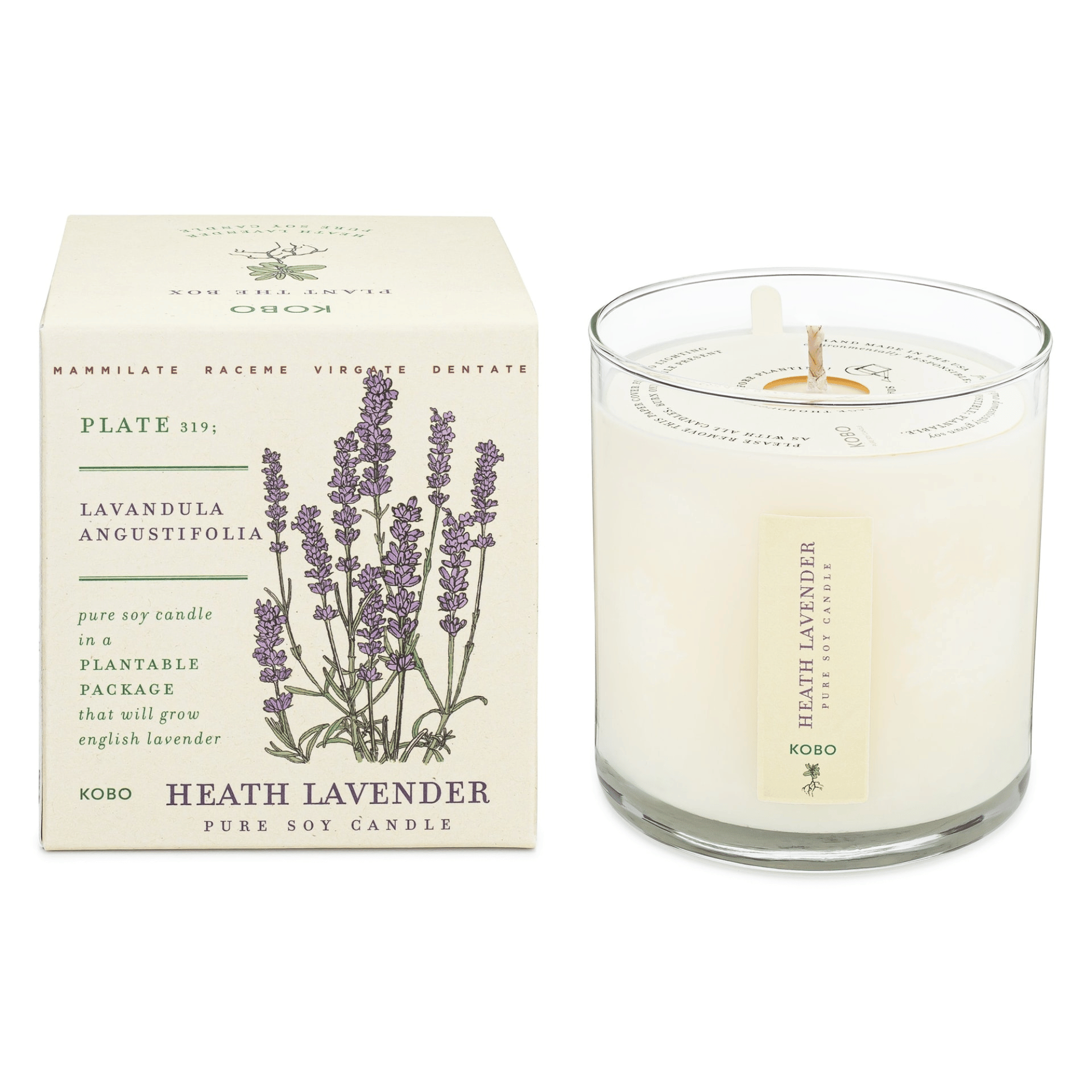 KOBO Heath Lavender Plant the Box Candle | 9 oz | Smallflower