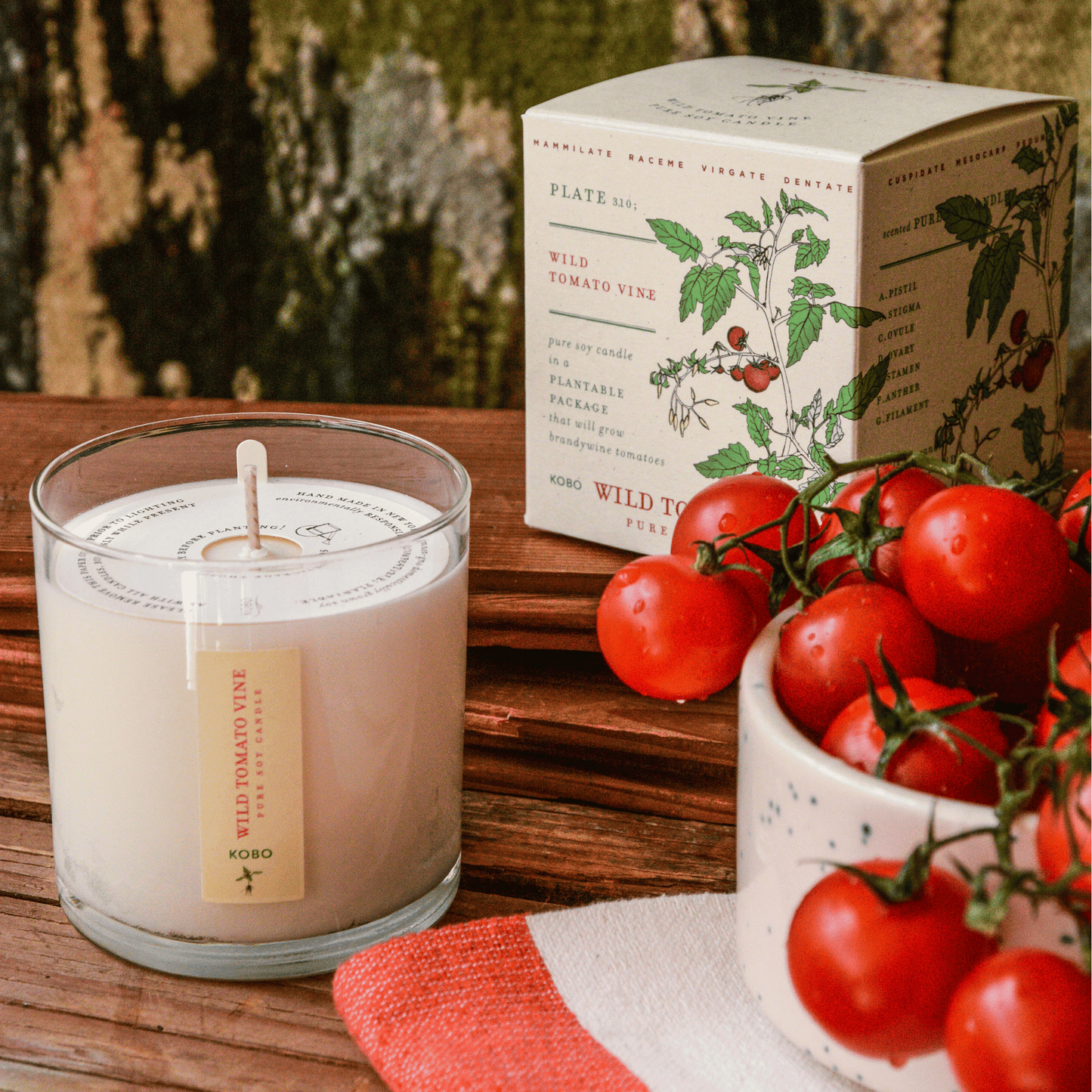 KOBO Wild Tomato Vine Plant the Box Candle (9 oz) – Smallflower