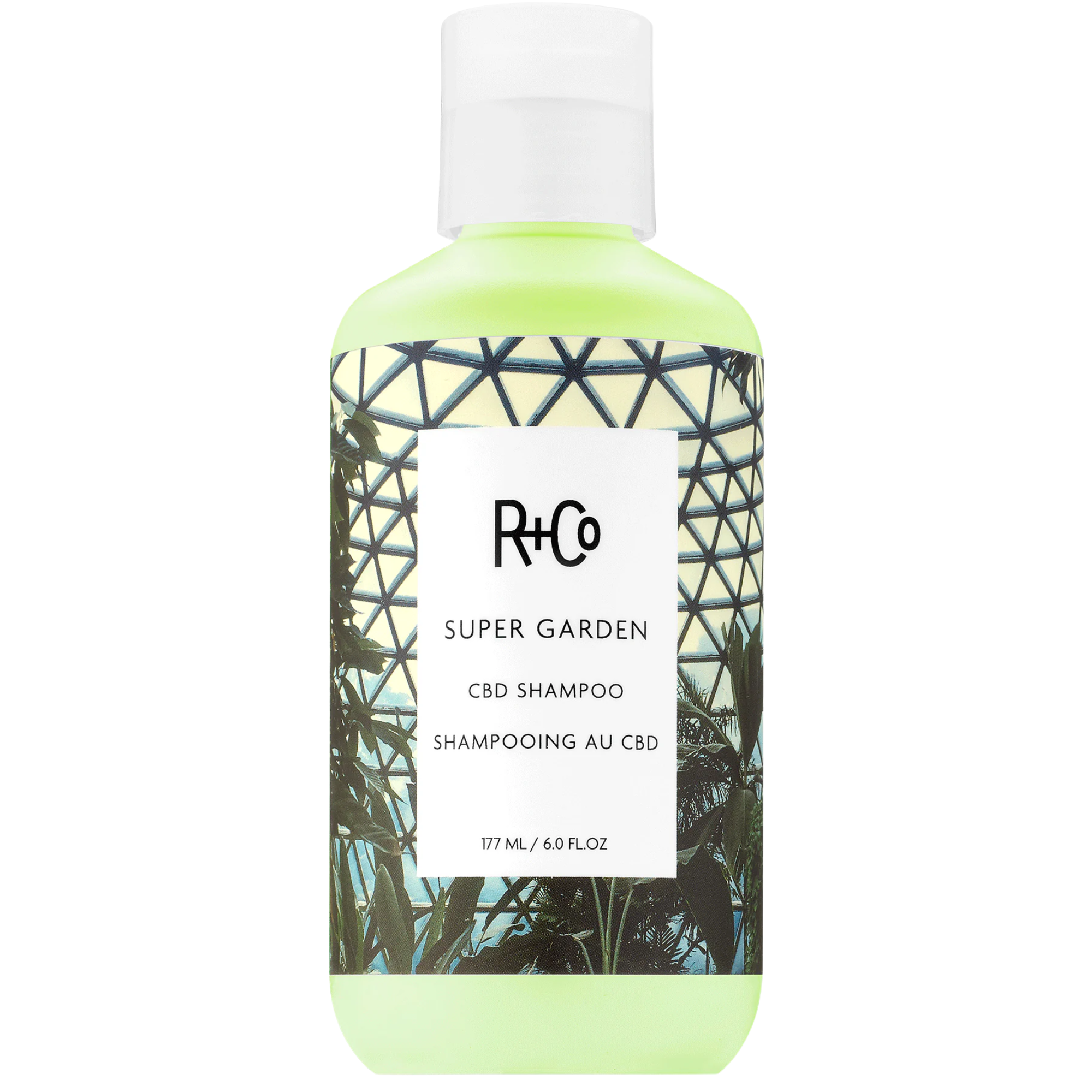 R+Co SUPERGARDEN CBD Shampoo (6 oz) #10090114 – Smallflower