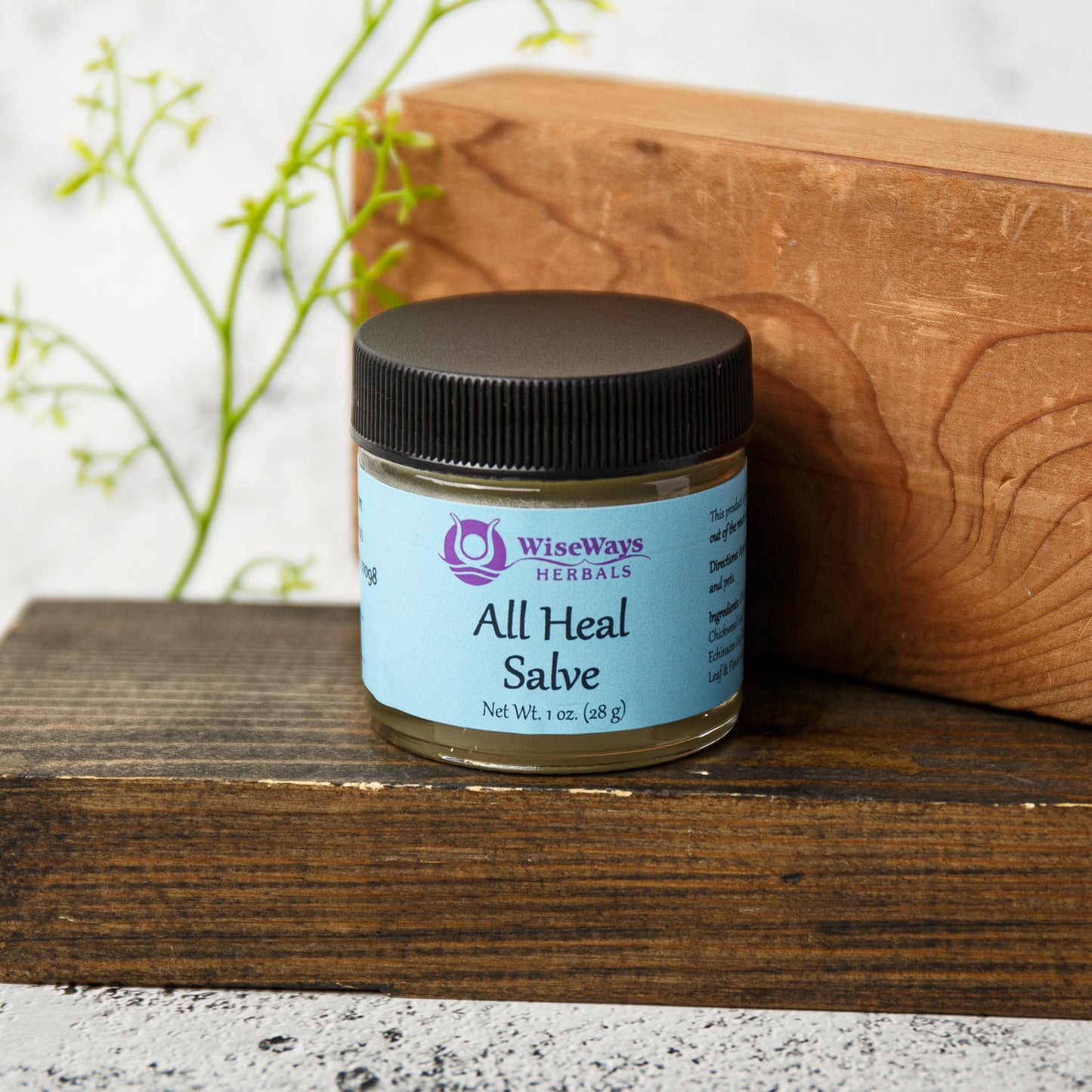 WiseWays Herbals All Heal Salve (1 oz) – Smallflower