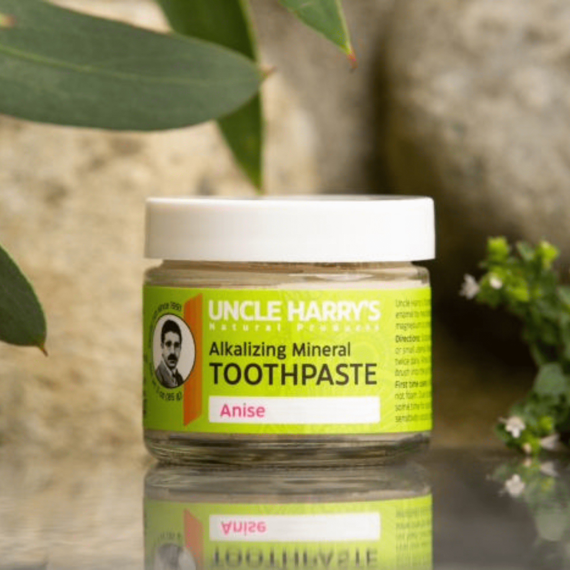 Uncle Harry's Natural Products Anise Toothpaste (3 oz) – Smallflower